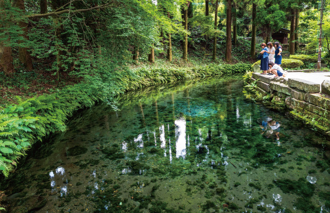 THE STORY OF ASO-KUJU NATIONAL PARK